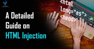 A Detailed Guide on HTML Injection - Information Security Consulting ...